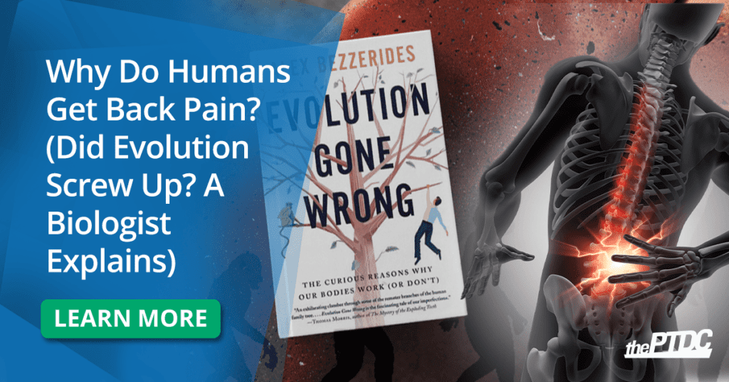 Why Do Humans Get Back Pain? (Did Evolution Screw Up?) - SIS30321